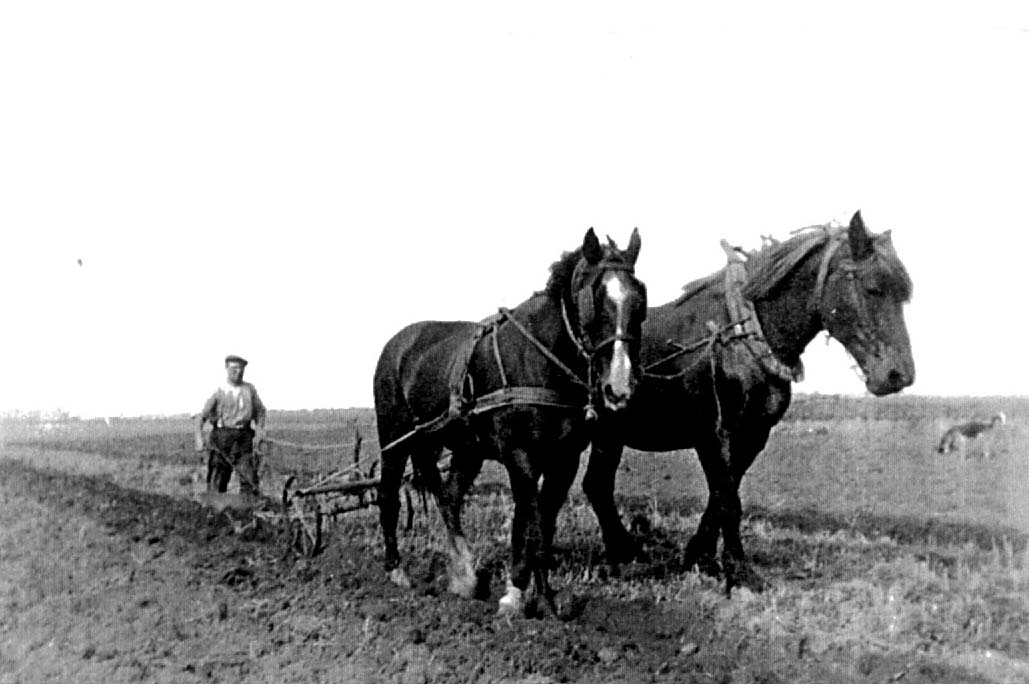 In dienst bij boer en boerin